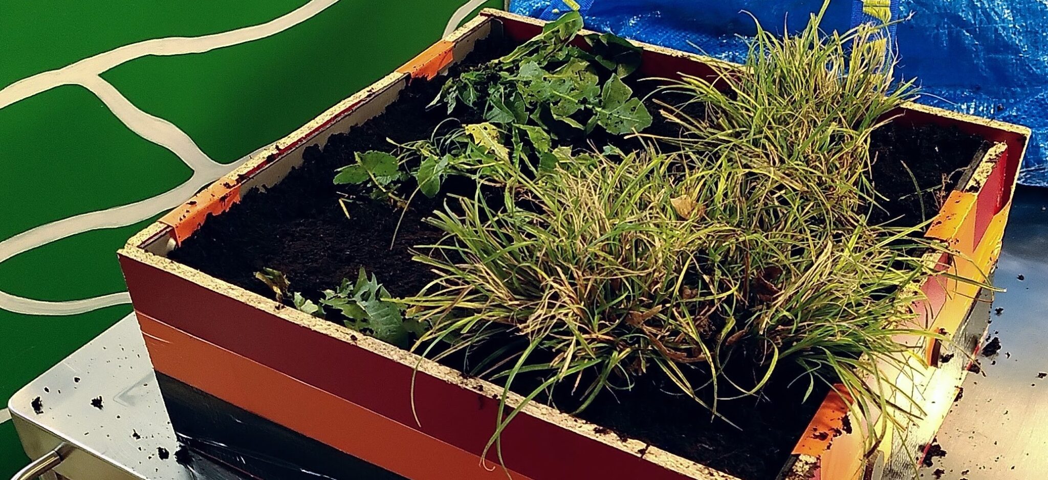 Green Roof Top Module - Citeuropass